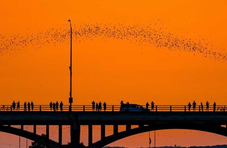 The (Truly) Best Things to Do in Austin, Texas - Go To Destinations