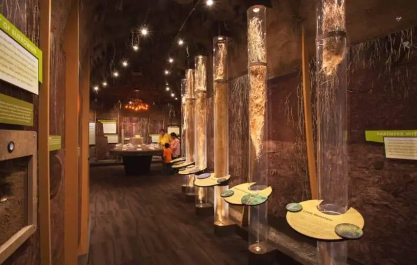 15 Truly Awesome Things to Do in Manhattan, Kansas - Go To Destinations