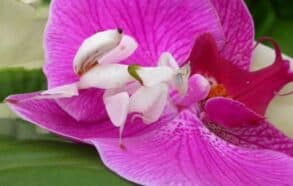 15 Truly Awesome Things to Do in Manhattan, Kansas - Go To Destinations