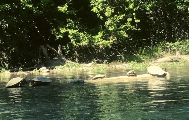 15 of the Best Things to Do in San Marcos, Texas