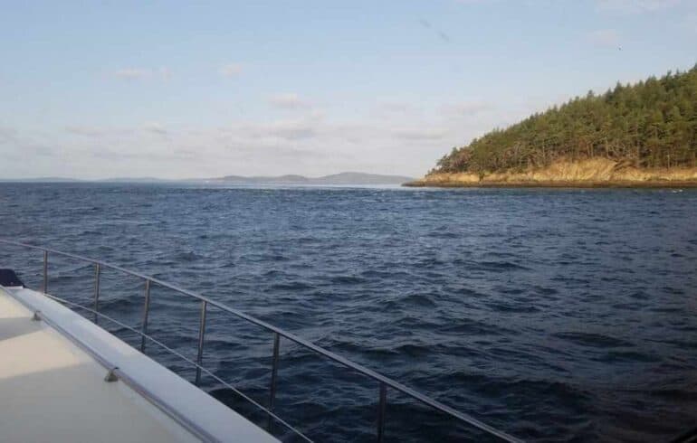 10 Exciting Things to Do in Bellingham: A Fun Guide for Visitors - Go ...