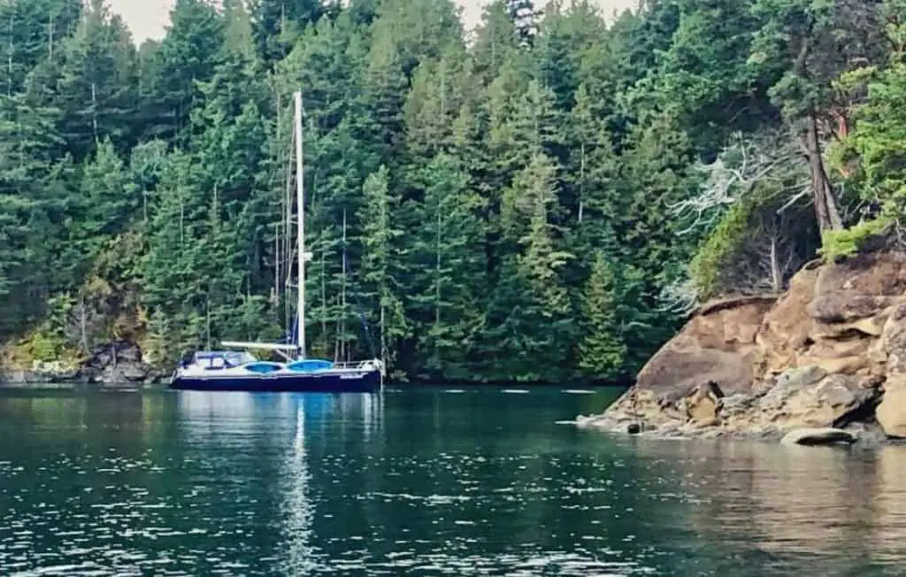 10 Exciting Things to Do in Bellingham: A Fun Guide for Visitors - Go ...