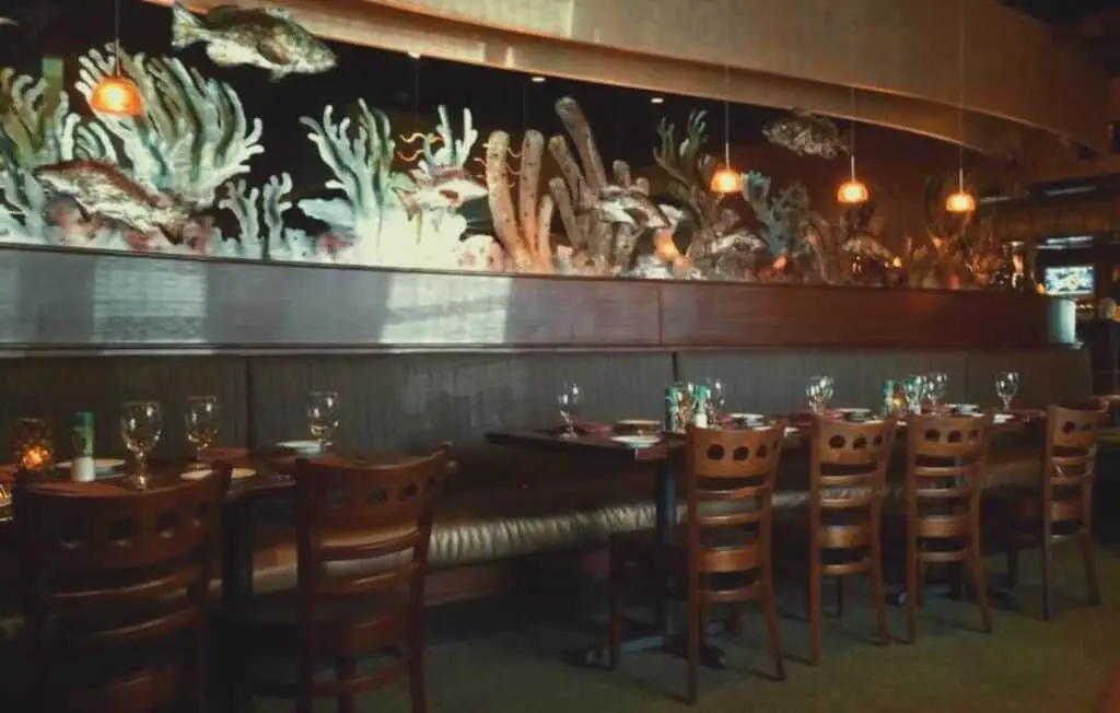 13 of the Best Things to Do in and Around Treasure Island, Florida