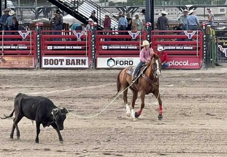 The Best Things to Do in Jackson Hole, Wyoming - Go To Destinations