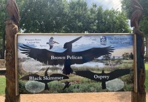 Baytown Bucket List: The Best Things to Do!