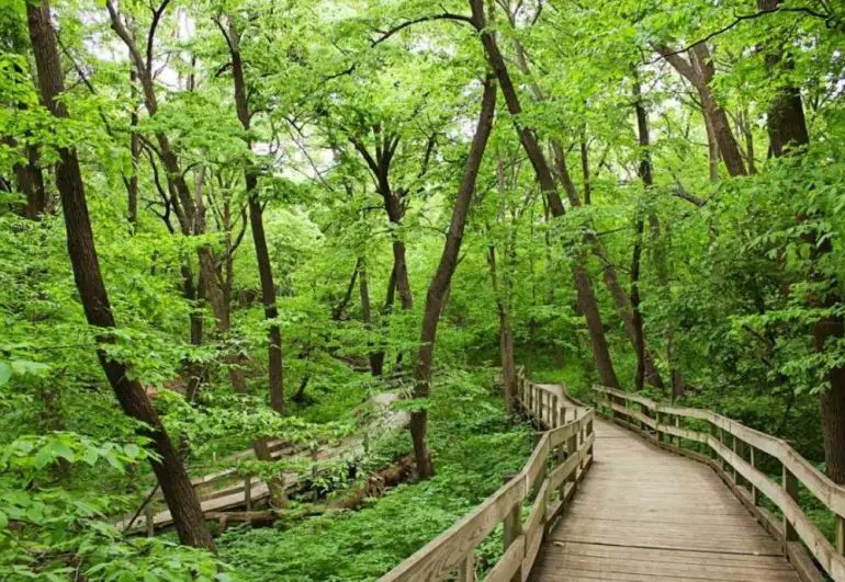 The 5 Best Parks and Outdoor Activities for Kids in Omaha, Nebraska ...