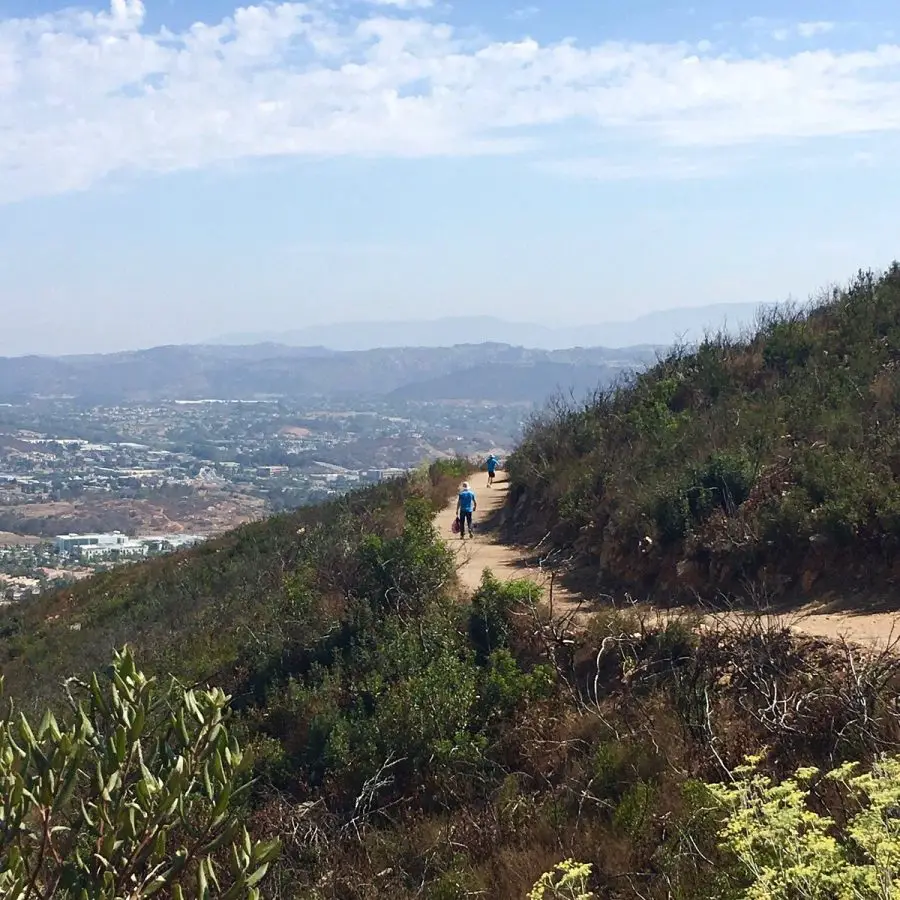 Family Restaurant in Portland, ME, Won Travelers' Choice Serving ...