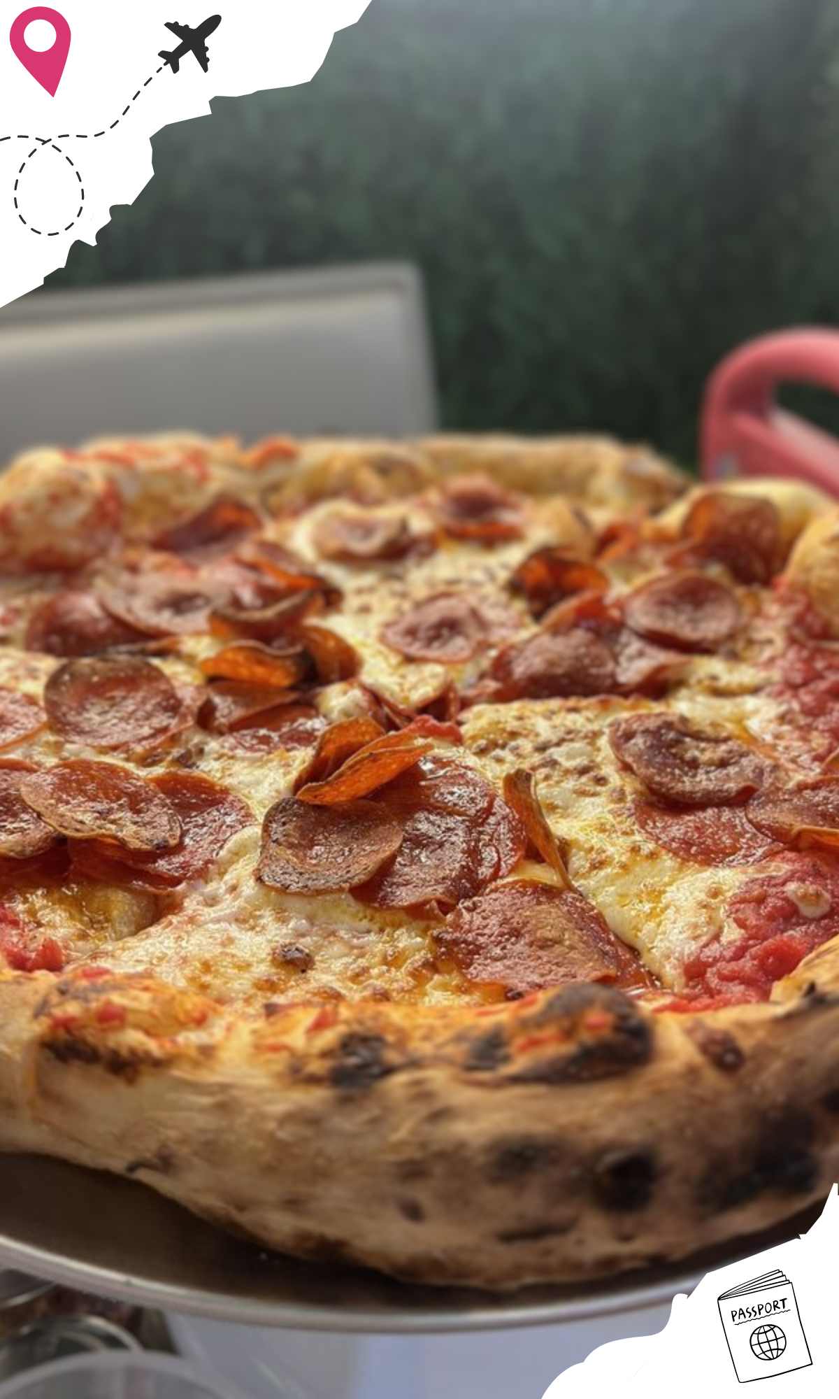 Have You Tried these AMAZING Pizza Spots in Tampa, FL? - Go To Destinations