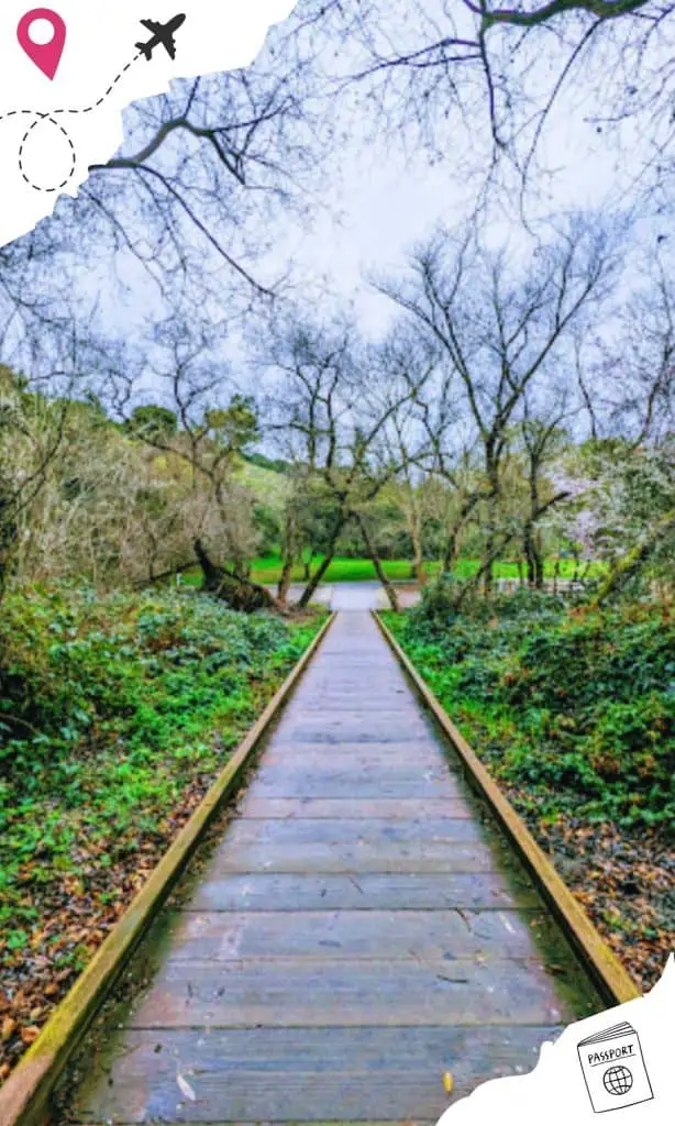 7 Top Attractions to Explore & Enjoy in San Leandro, CA - Go To ...