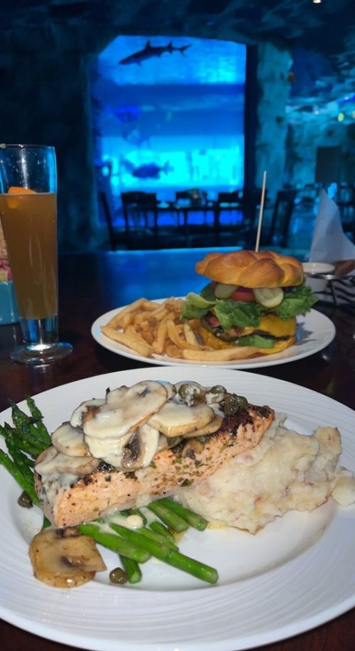 Best Unique Restaurant in Houston - Downtown Aquarium Underwater Dining