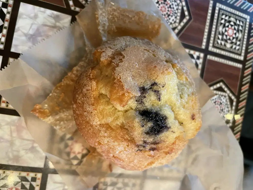 Best Cafe in Boston: Madhouse's Lebanese Coffee & Motorcycles