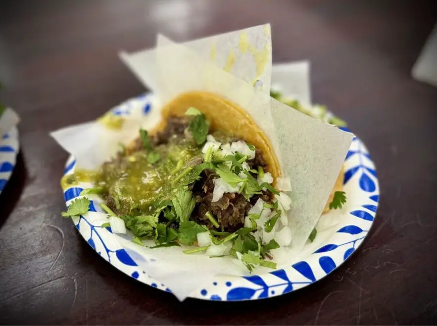 Best Taco in Las Vegas: Tacos El Gordo's Tijuana Authenticity